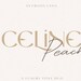 Celine Peach Font, Elegant Font, Calligraphy Font, Modern Font ...