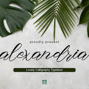Alexandria Font, Calligraphy Font, Wedding Font, Modern Font, Display ...