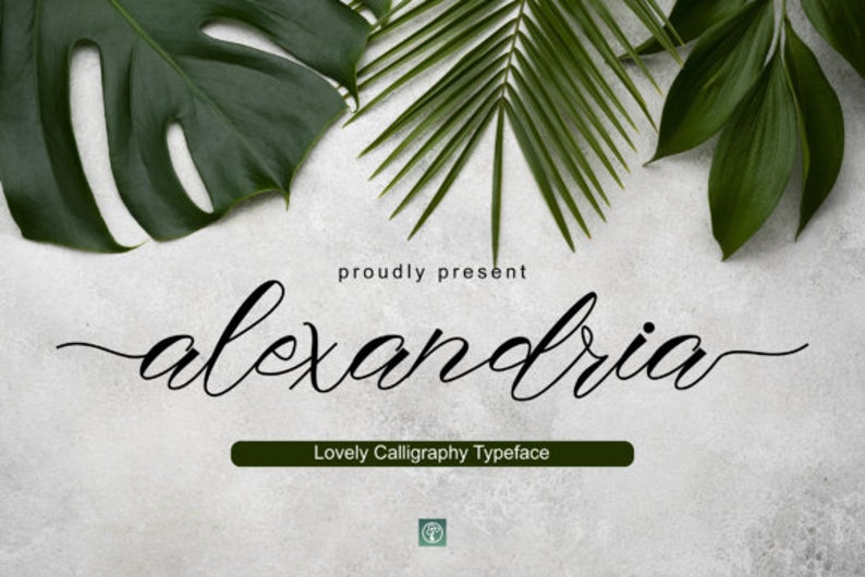 Alexandria Font, Calligraphy Font, Wedding Font, Modern Font, Display ...