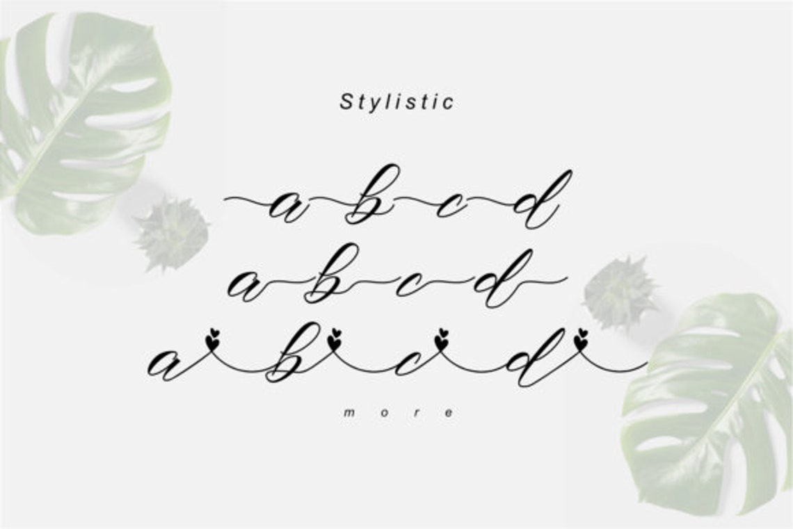 Alexandria Font, Calligraphy Font, Wedding Font, Modern Font, Display ...