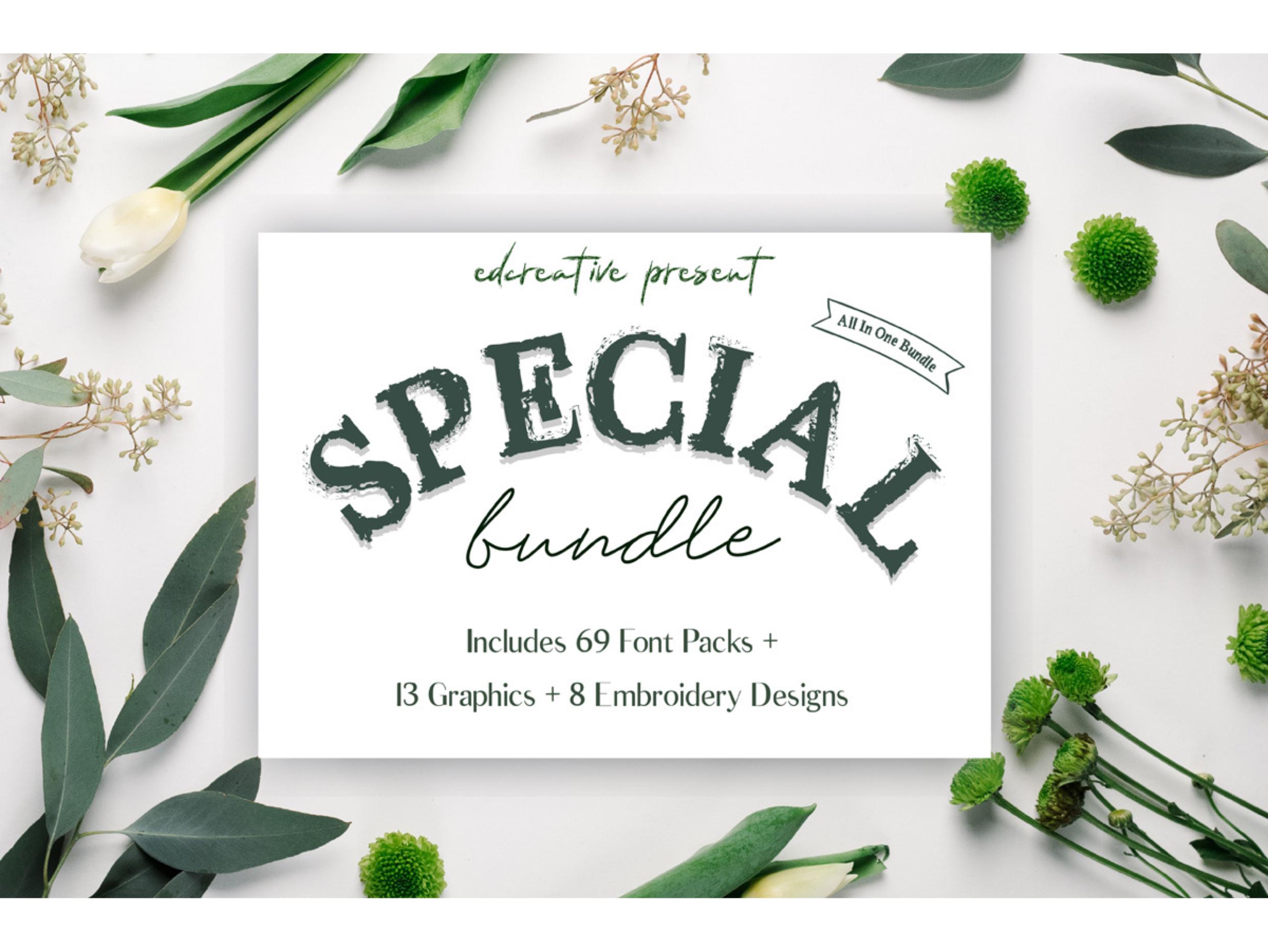 The Special All-in-one Bundle, Font for Embroidery Desings, Canva Font ...