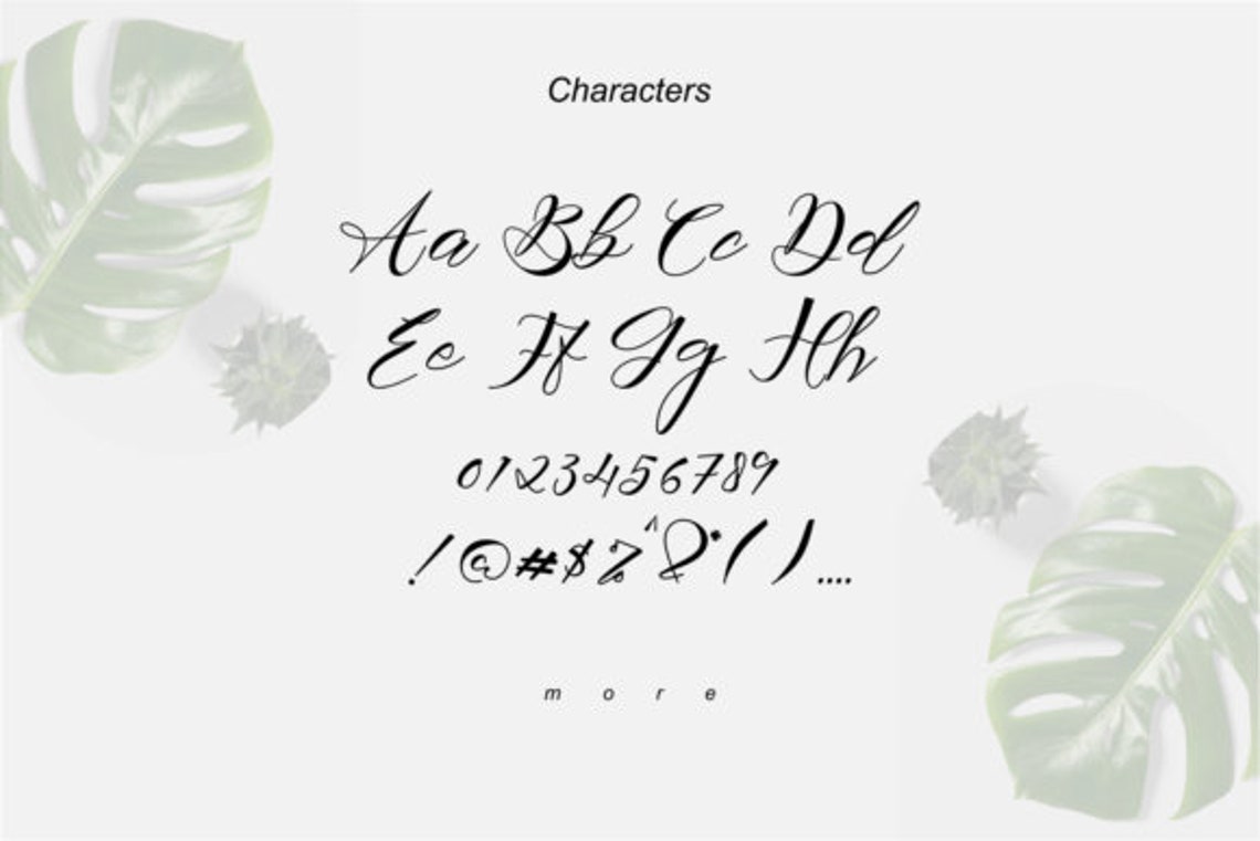 Alexandria Font, Calligraphy Font, Wedding Font, Modern Font, Display ...