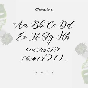 Alexandria Font, Calligraphy Font, Wedding Font, Modern Font, Display ...