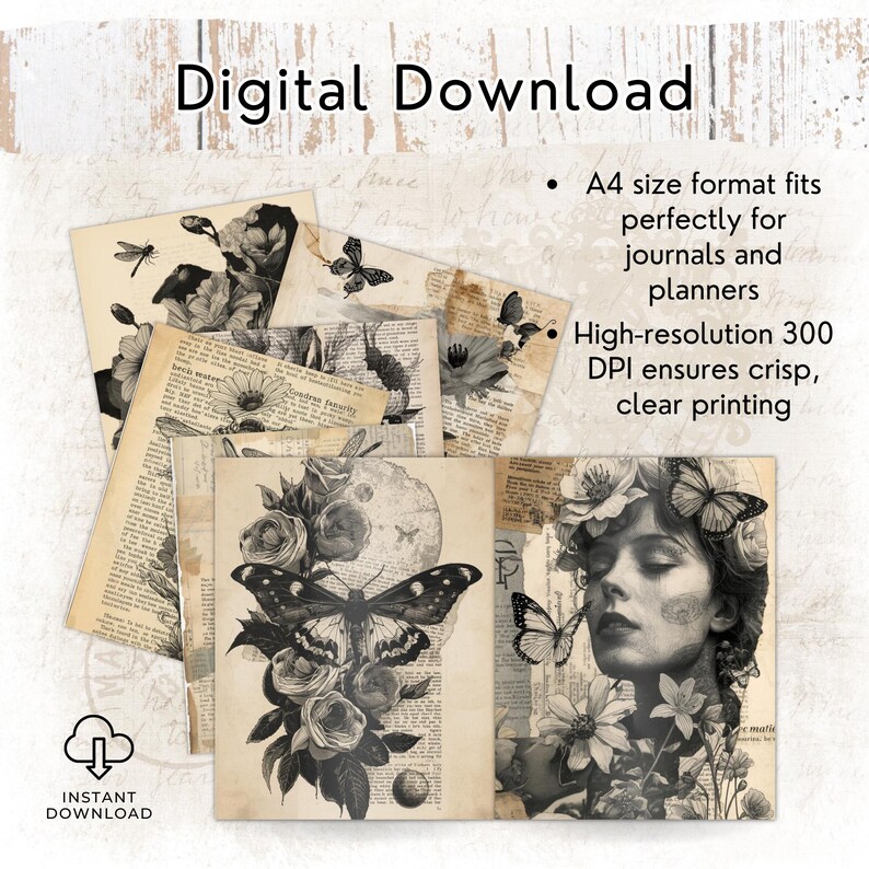 Vintage Insect Botanical Digital Paper | Black & White Butterfly Moth ...