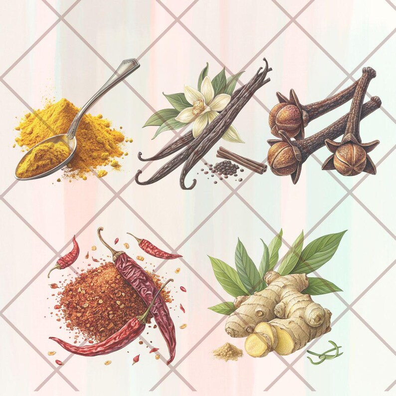 Herbs and Spices Clipart Set - 23 PNG Images for Culinary and Crafts - Etsy