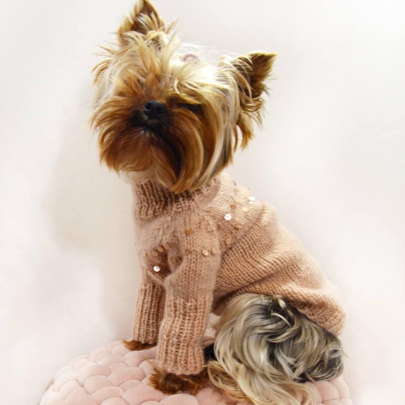 Yorkie Winter Clothing - Etsy