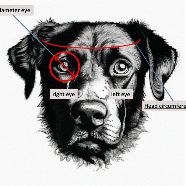 Animal Eye Patches - Etsy