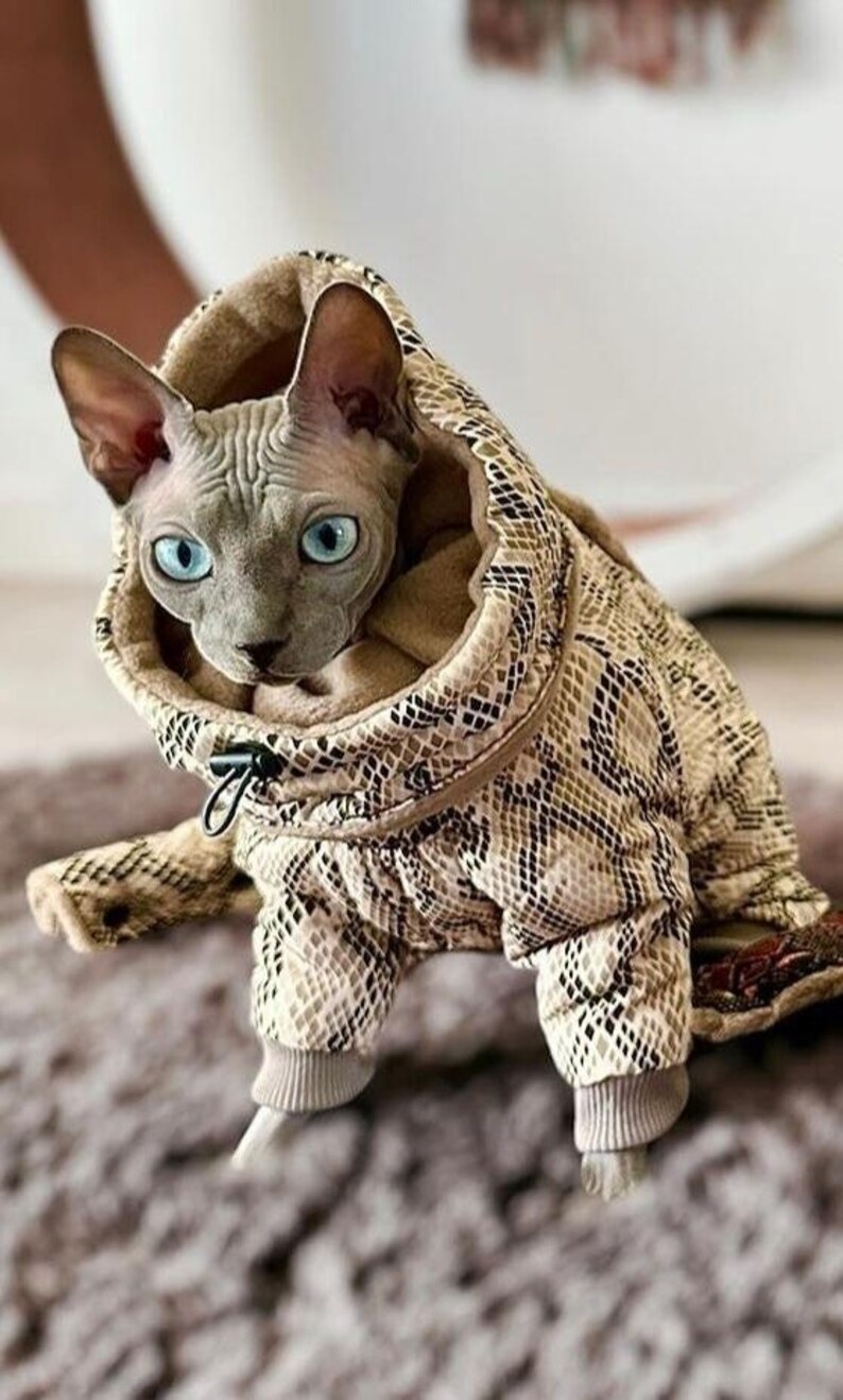 Clothes for Sphynx Cats, Jumpsuit-windbreaker (or Winter Down Jacket ...