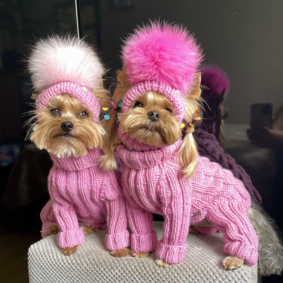 Jumpsuit Dog Knitted, Knitted Costume for Small Dogs, Pet Jackets Knit ...