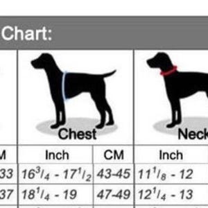 Easy Knit Dog Sweater Pattern – Size L/XL (PDF Pattern) - Etsy