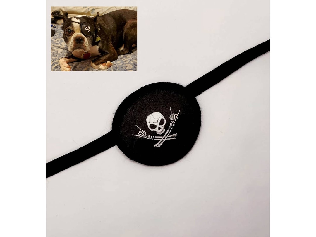 Eye Patch for Dog With Skull and Bones - Etsy