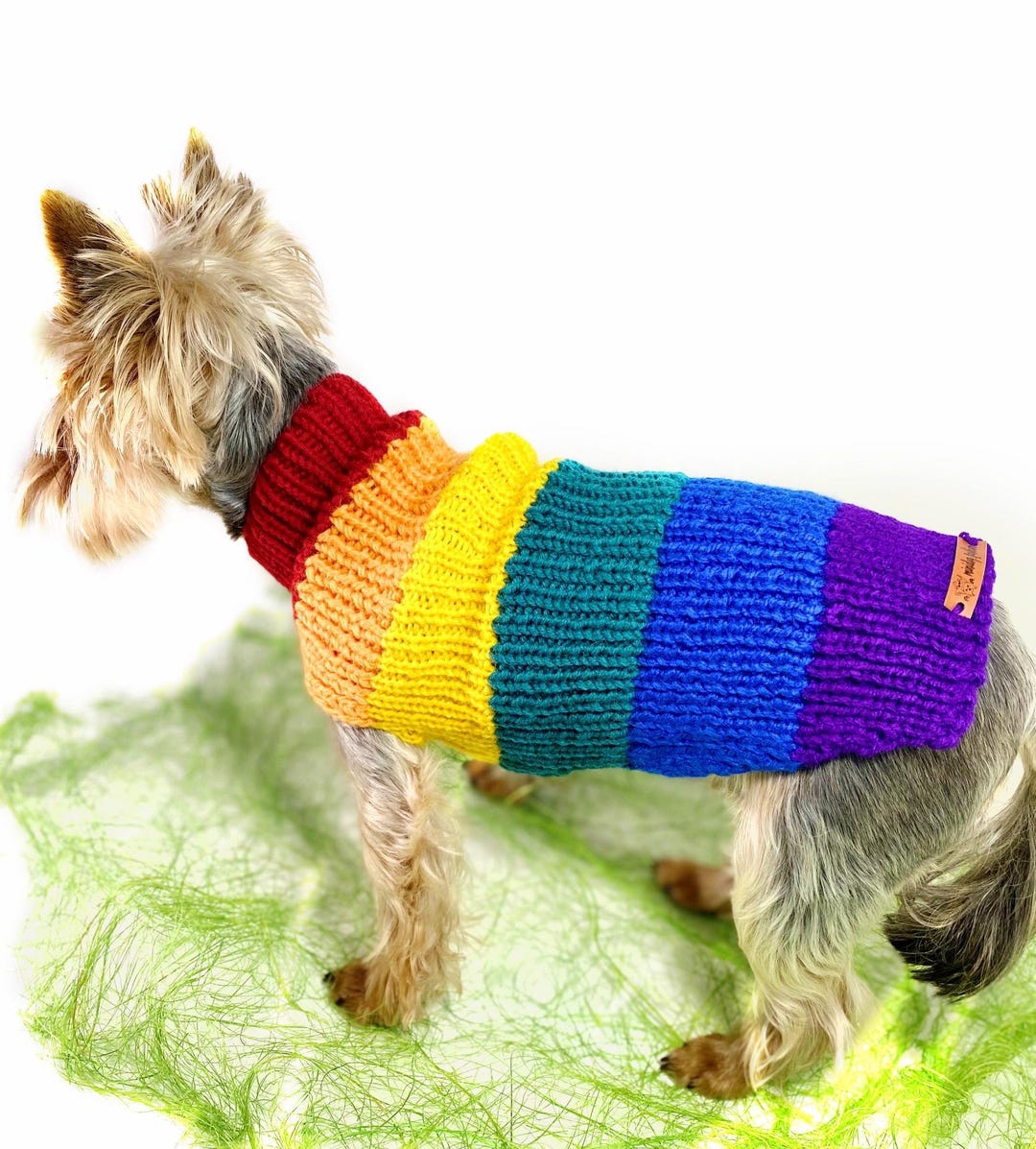 Knit Rainbow Dog Sweater – LGBTQ Pride Clothes for Small Dogs - Etsy