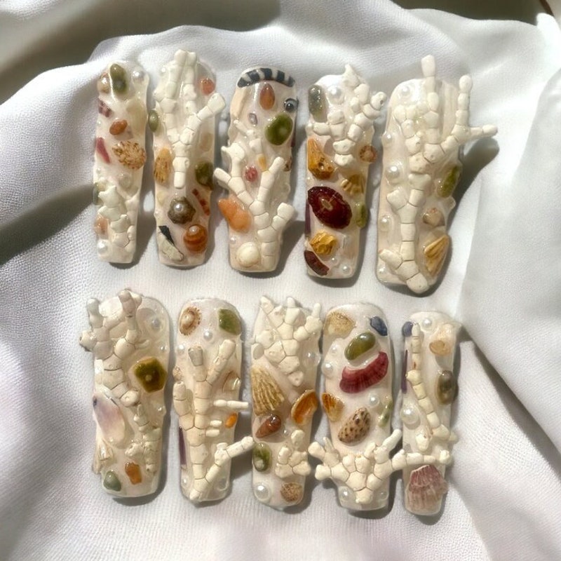 Real Seashells - Etsy