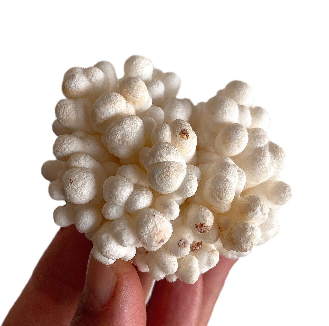 Cave Calcite Stalactite Cluster: Raw Moroccan Mineral (176g) - Etsy
