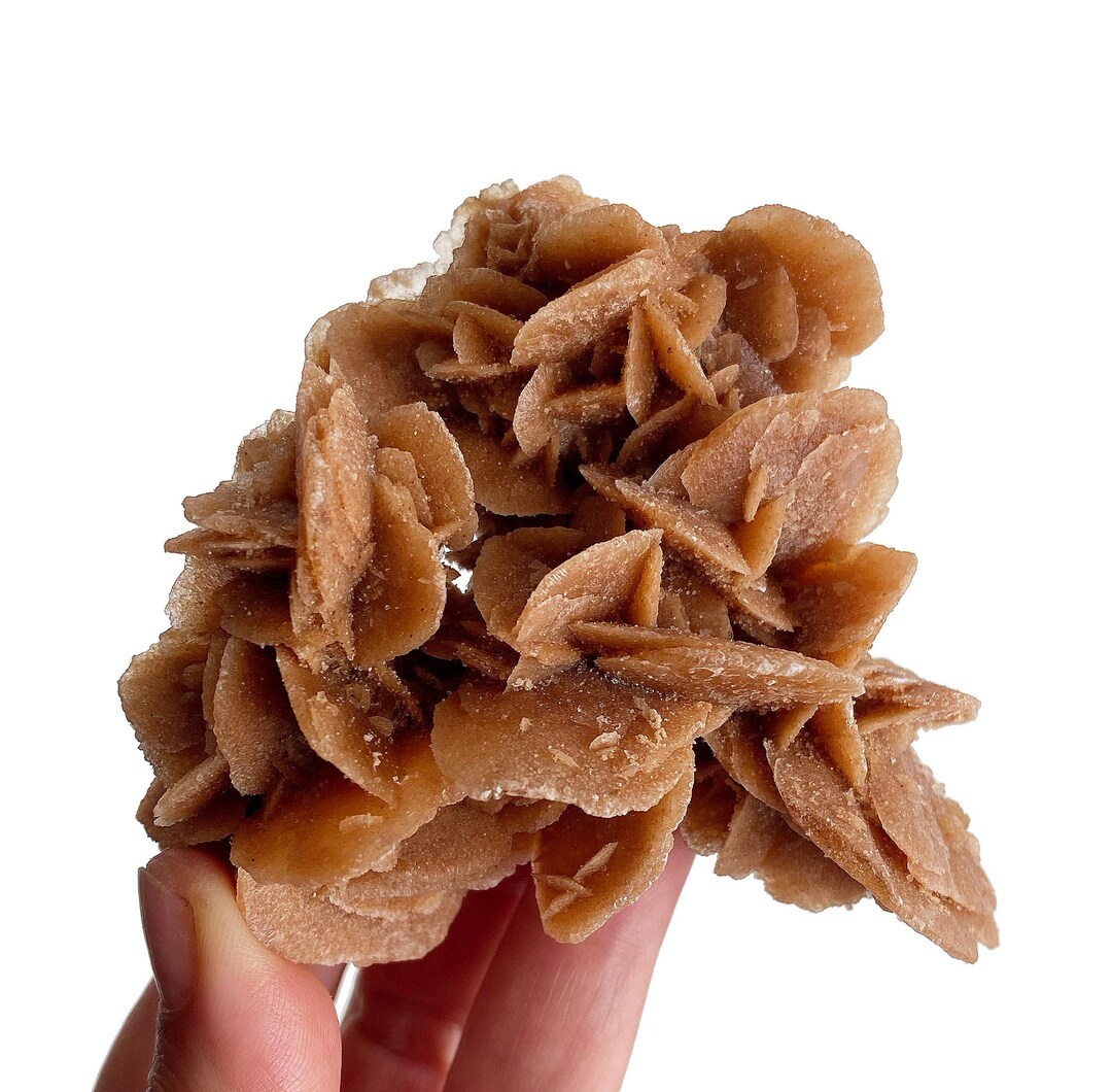Beautiful Natural Desert Rose From Algeria - Etsy