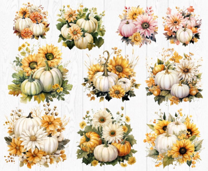 White Pumpkin Clipart, DIGITAL DOWNLOAD, Pumpkin Clipart Baby Shower ...