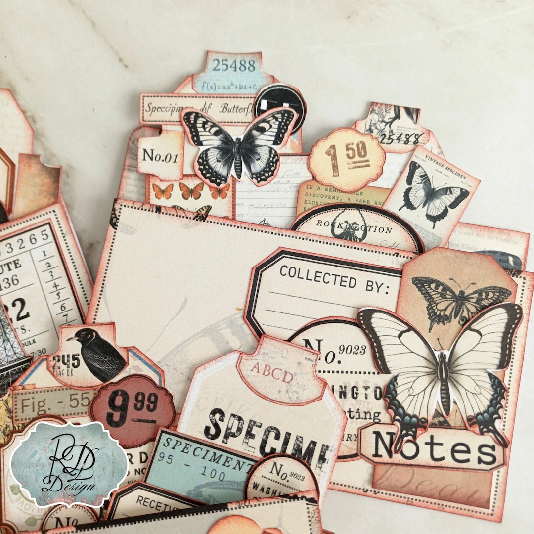 Butterfly File Folder Specimen Folder Junk Journal Vintage Bird ...