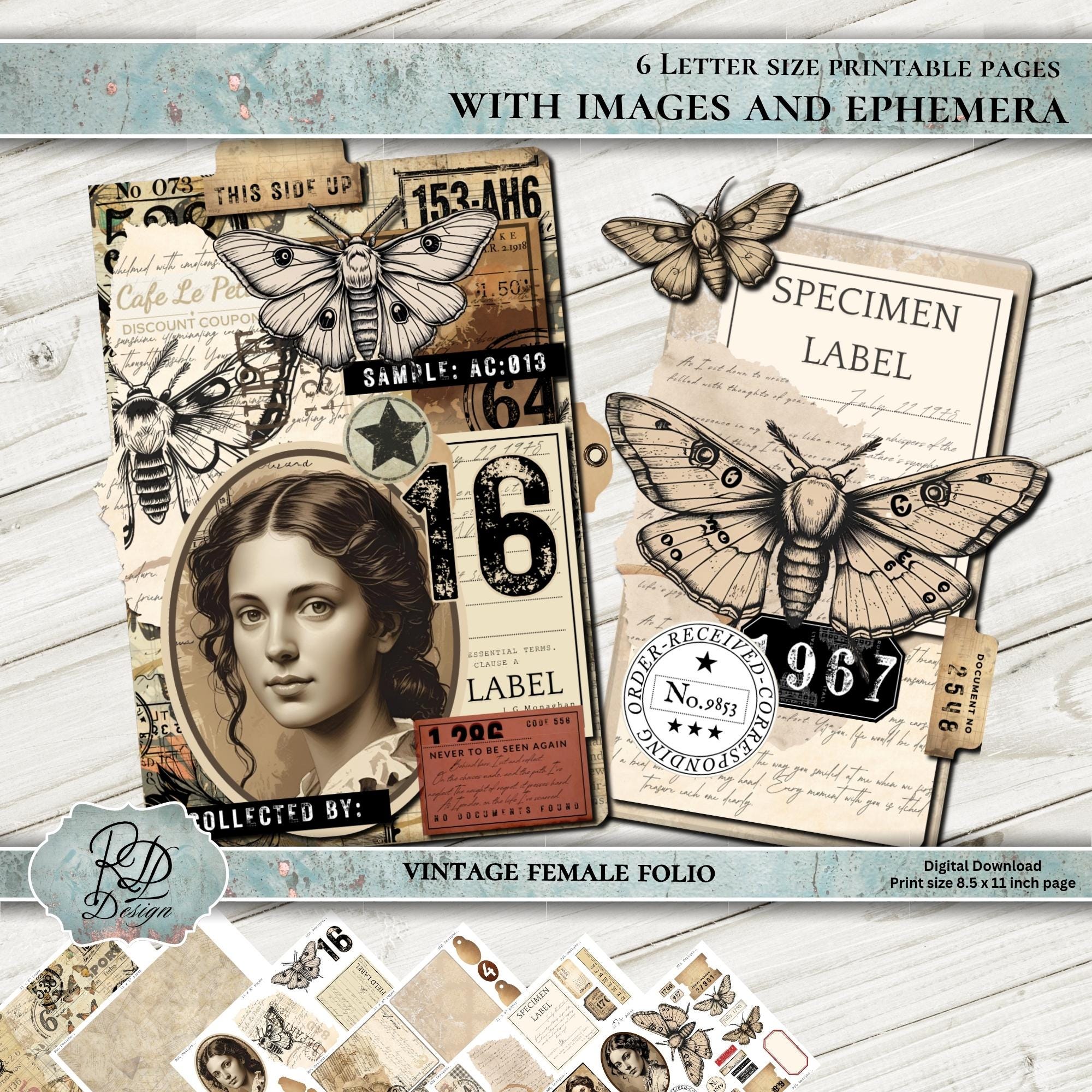 Vintage Female Folio Junk Journal Digital Kit Vintage Specimen Ephemera ...