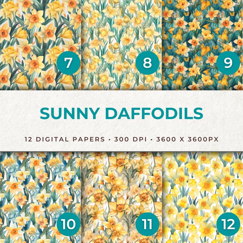 Springtime Delight: 12 Digital Papers and 12 Digital Patterns With ...