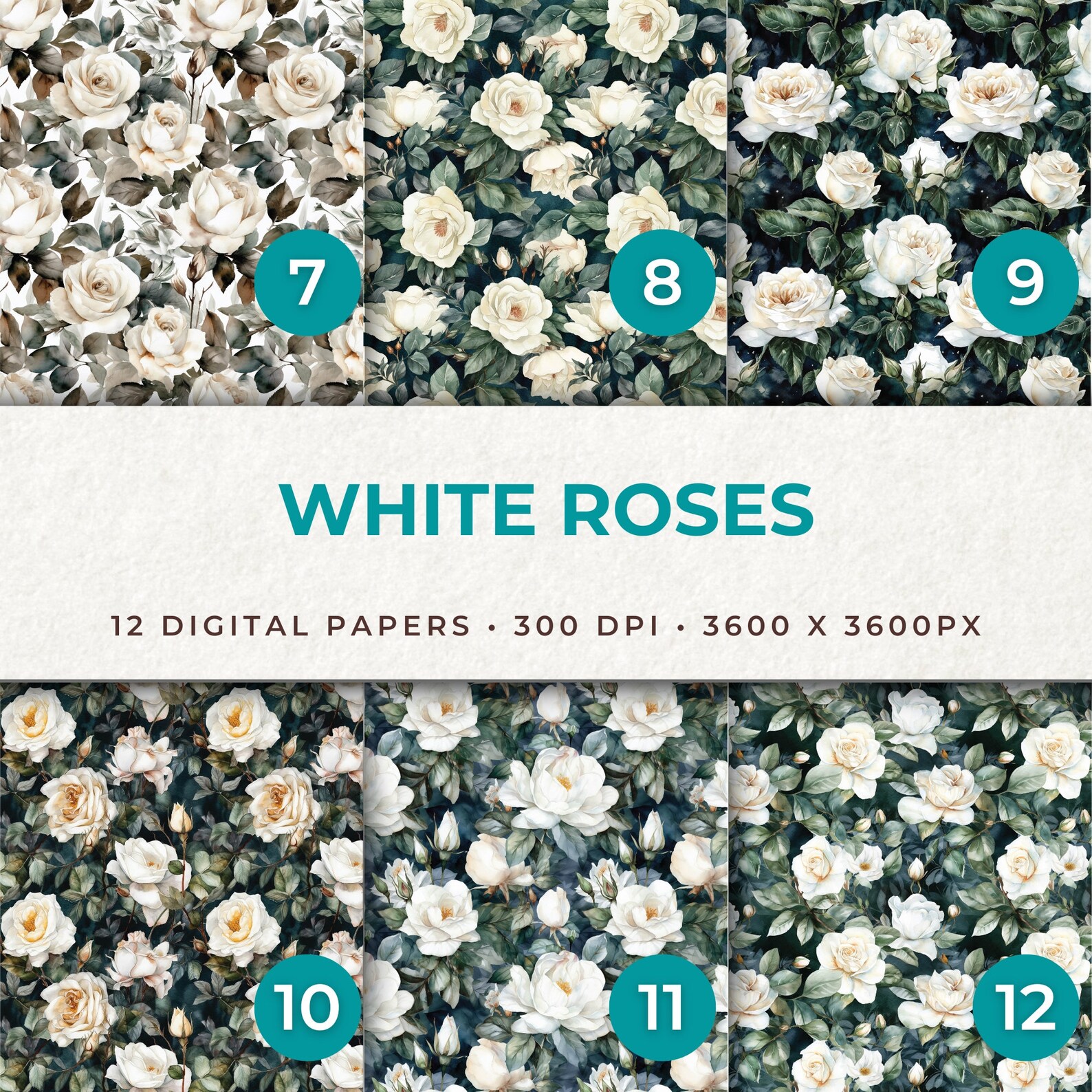 White Roses Digital Paper Pack - Set of 24 High-quality JPEG Files ...