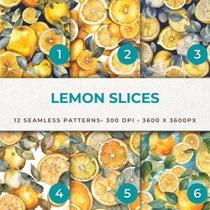 Brighten up Your Designs With Lemon Slices Digital Papers - Set of 12 ...