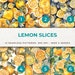 Brighten up Your Designs With Lemon Slices Digital Papers - Set of 12 ...