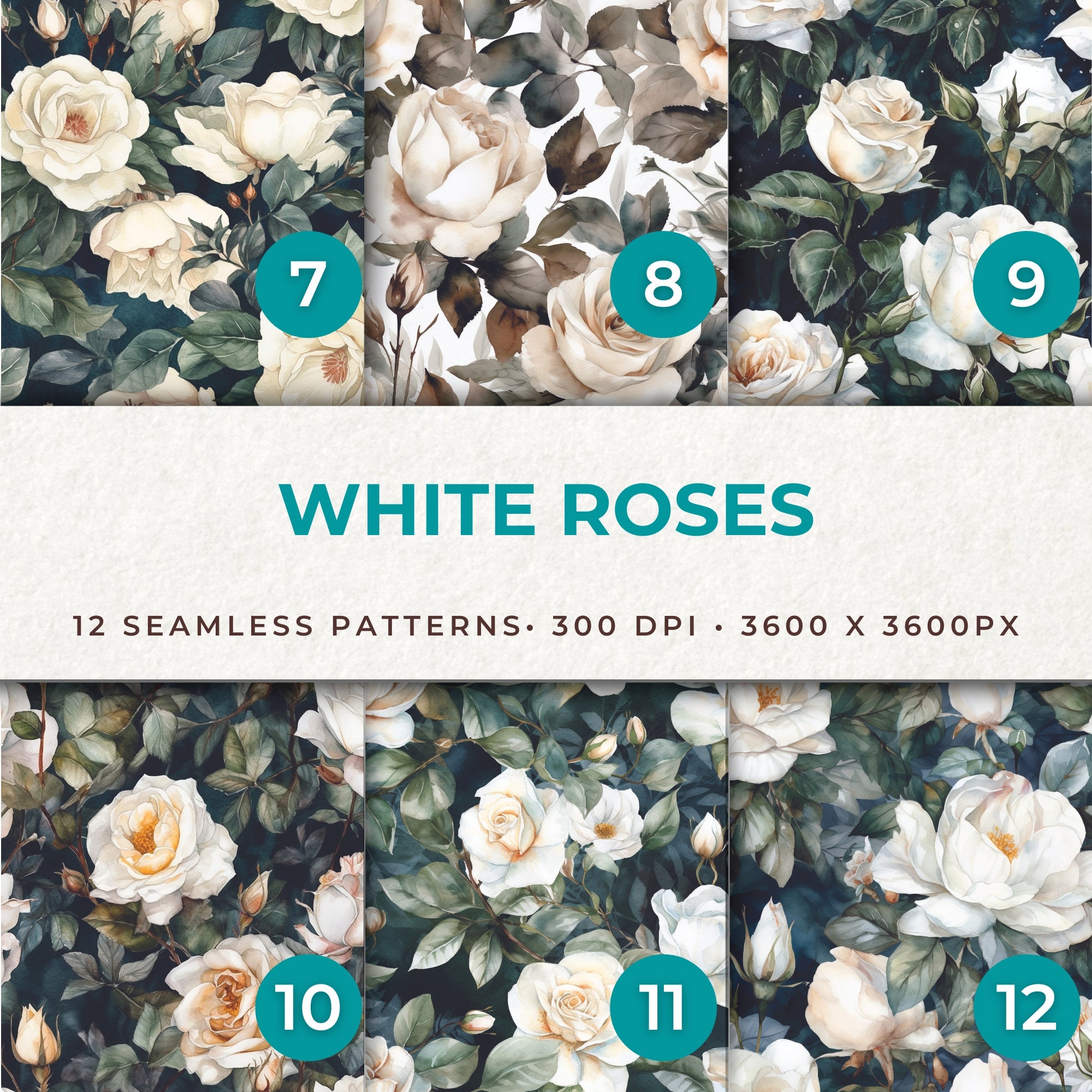 White Roses Digital Paper Pack - Set of 24 High-quality JPEG Files ...
