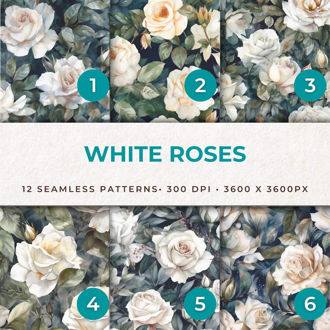 White Roses Digital Paper Pack - Set of 24 High-quality JPEG Files ...