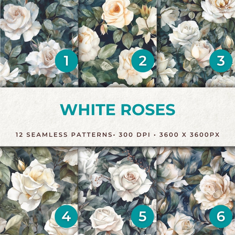 White Roses Digital Paper Pack - Set of 24 High-quality JPEG Files ...