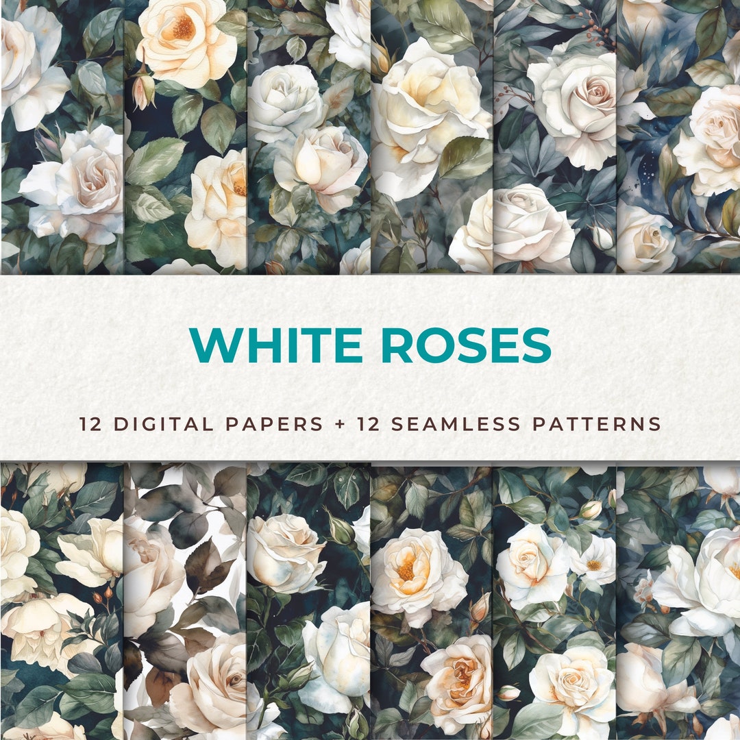 White Roses Digital Paper Pack - Set of 24 High-quality JPEG Files ...