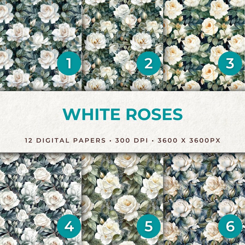 White Roses Digital Paper Pack - Set of 24 High-quality JPEG Files ...