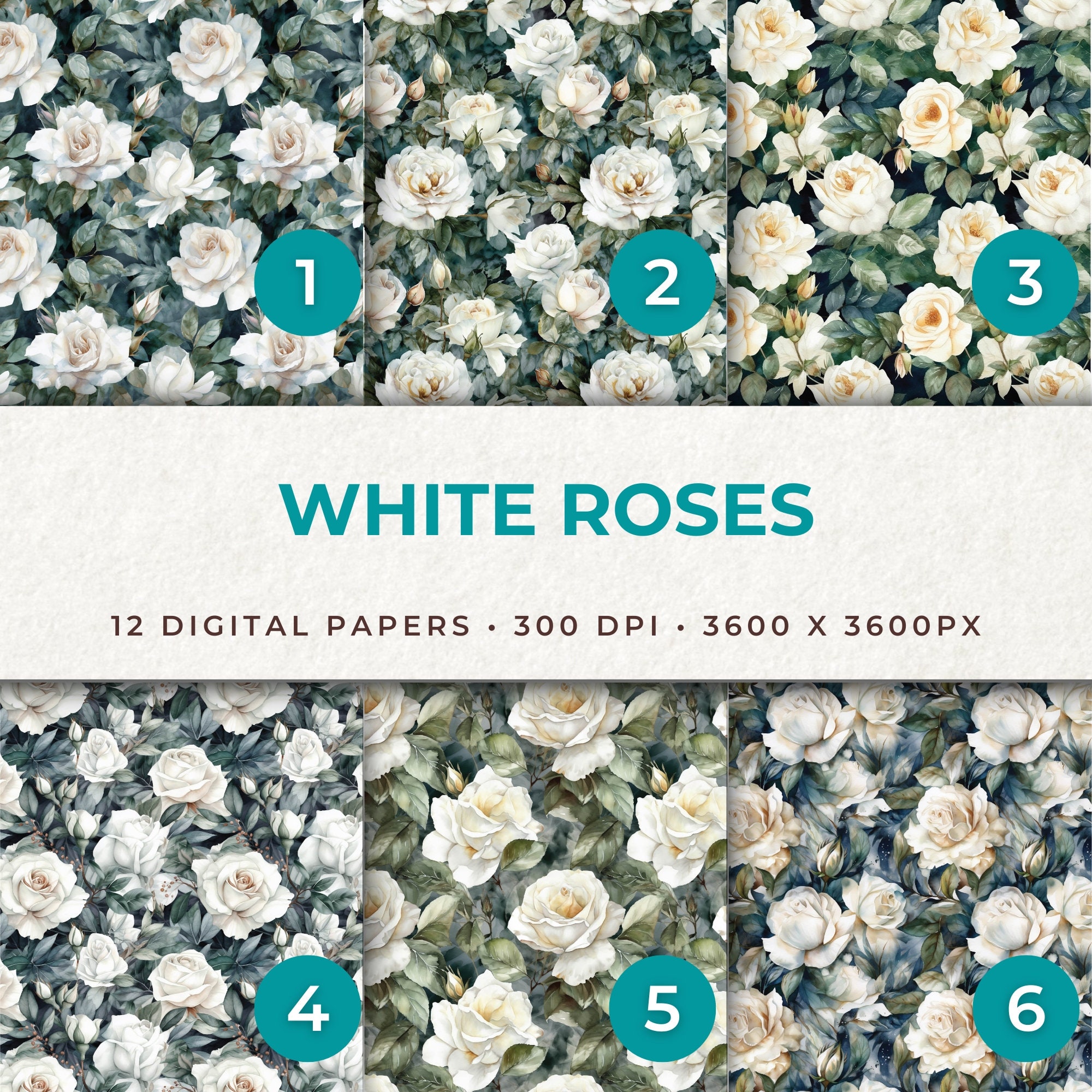 White Roses Digital Paper Pack - Set of 24 High-quality JPEG Files ...