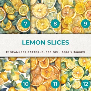 Brighten up Your Designs With Lemon Slices Digital Papers - Set of 12 ...