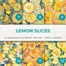 Brighten up Your Designs With Lemon Slices Digital Papers - Set of 12 ...
