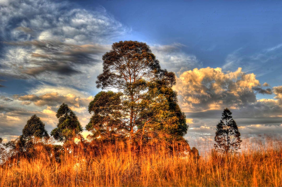 Photo Early Morning at Underberg ,kwazulu Natal , South Africa Nature ...