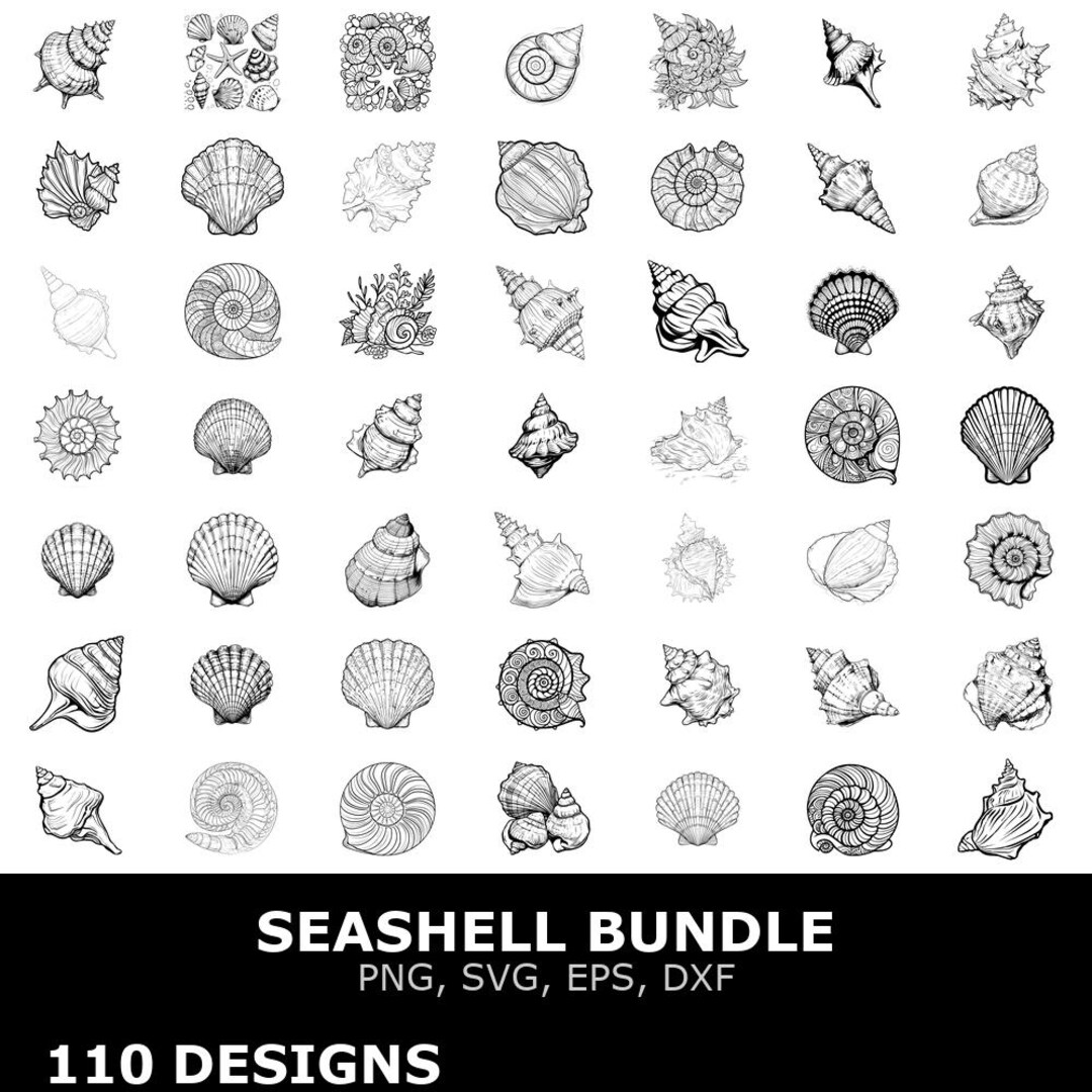 Seashell Digital Clipart Bundle Svg Png Eps Dxf Cricut Cutting Files ...