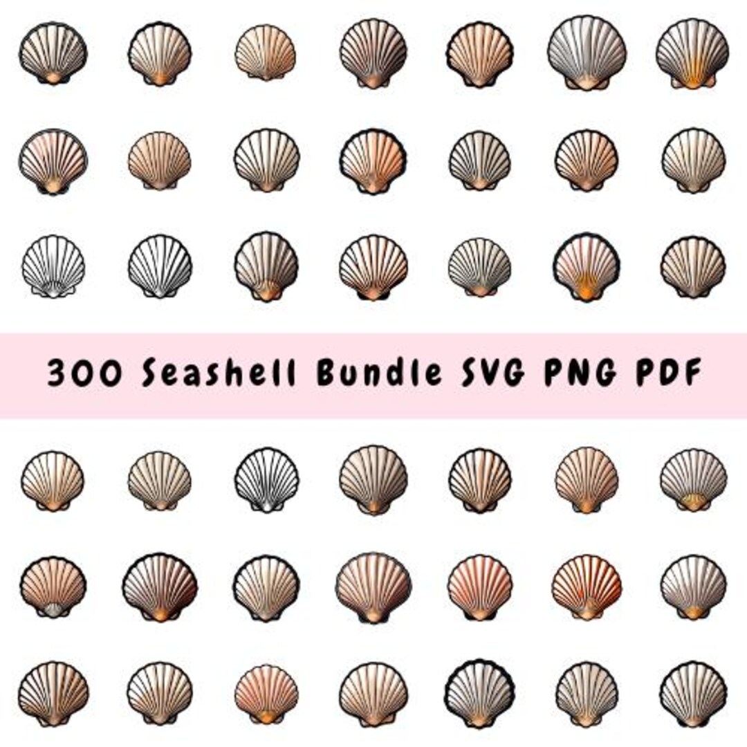 Seashell SVG Bundle, Seashell Monogram Svg, Seashell Png, Floral Mom ...