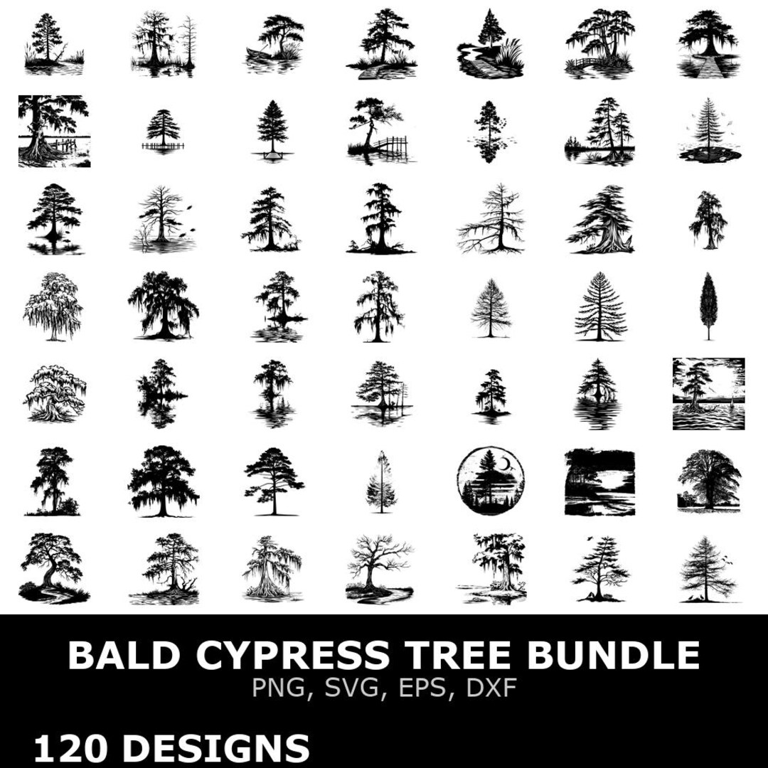 Bald Cypress Tree Digital Clipart Bundle Svg Png Eps Dxf for Cricut ...