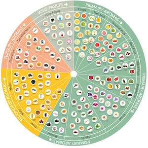 Wine Aroma Wheel Poster: Flavor Guide for Wine Tasting (PDF & PNG, 10 ...