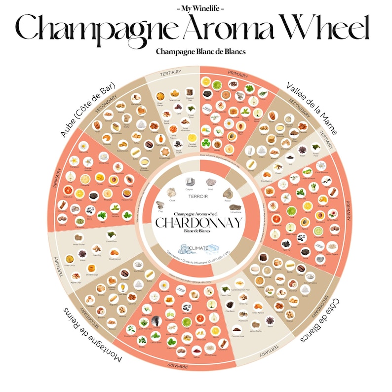 Digital Wine Aroma Wheel Champagne Blanc De Blancs - Nr 1 Wine Tasting ...