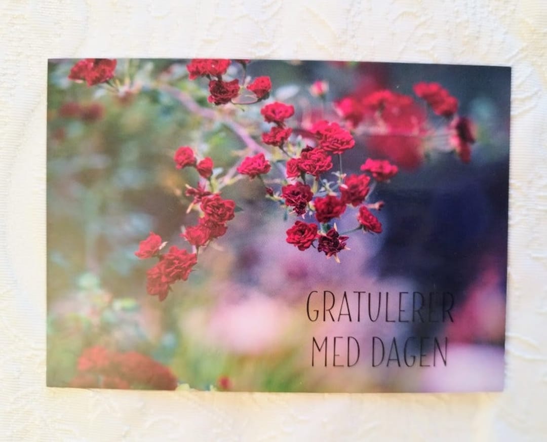 HAPPY BIRTHDAY Norwegian Card - Red Roses With the Words Gratulerer Med ...