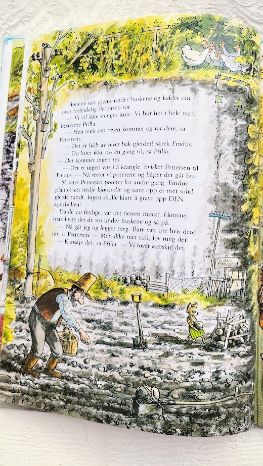 NORWEGIAN Book Kakling I Kjøkkenhagen by Swedish Author Sven Nordqvist ...