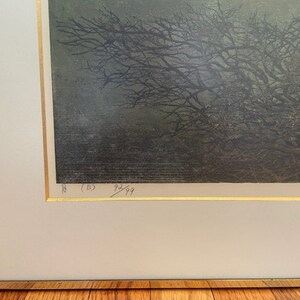 Hoshi Joichi Original Wood Block Print - Etsy