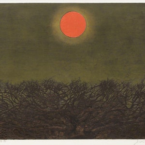 Hoshi Joichi Original Wood Block Print - Etsy