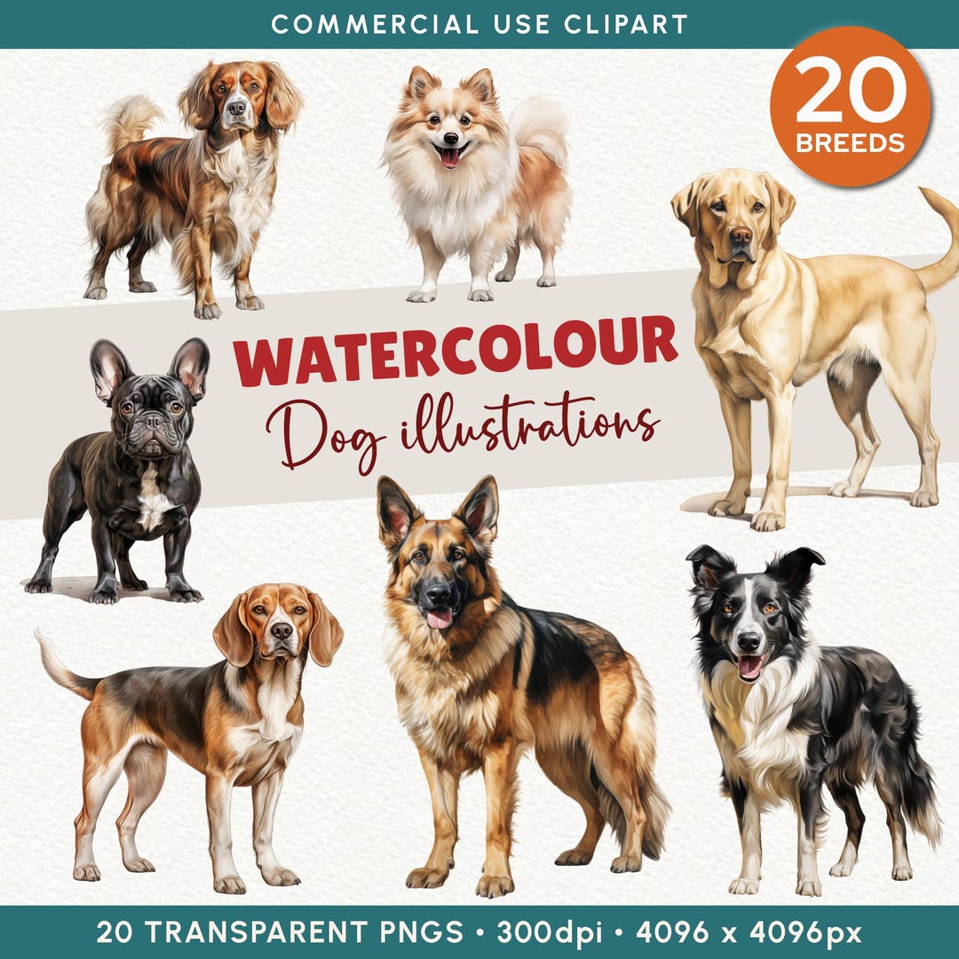 Watercolor Dog Clipart: 20 Breeds, Transparent Pngs (digital Download ...