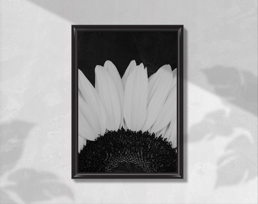 Printable Flower Photograph of a Grayscale Colored Sunflower, Dark ...