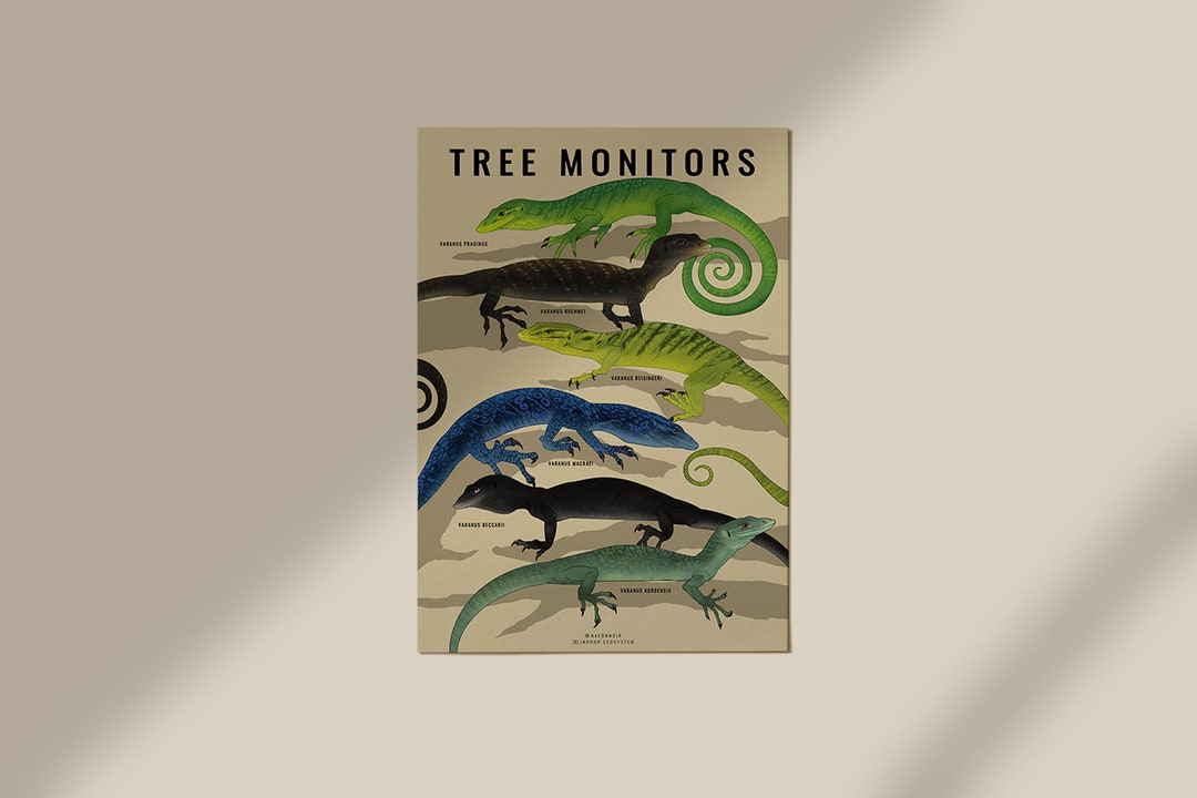 A3 Tree Monitor Poster 6 Varanus Species - Etsy