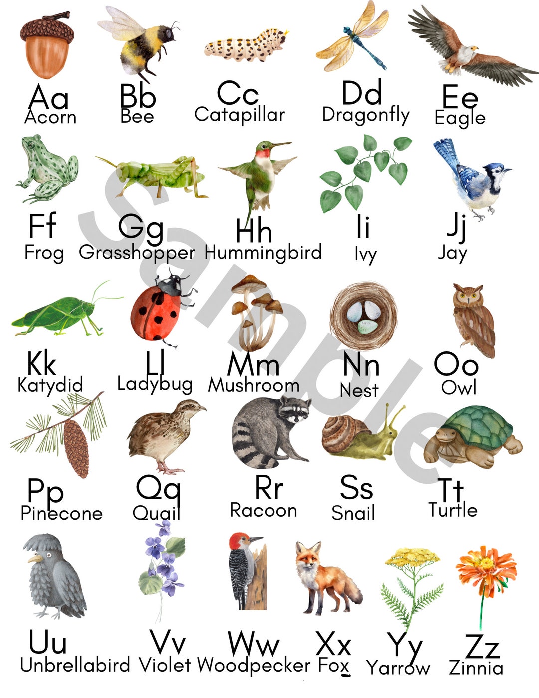 Nature Alphabet Poster - Etsy
