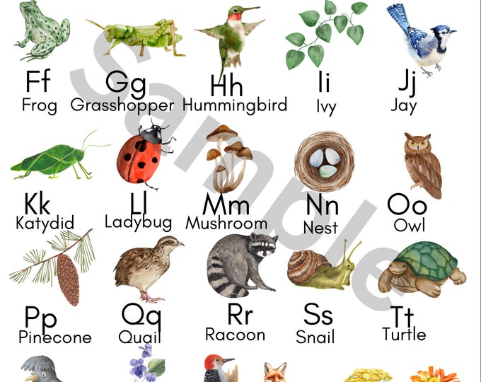 Nature Alphabet Poster - Etsy
