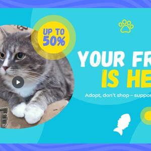 Pet Adoption Promo Video Editable Canva Template for Shelters, Rescues ...
